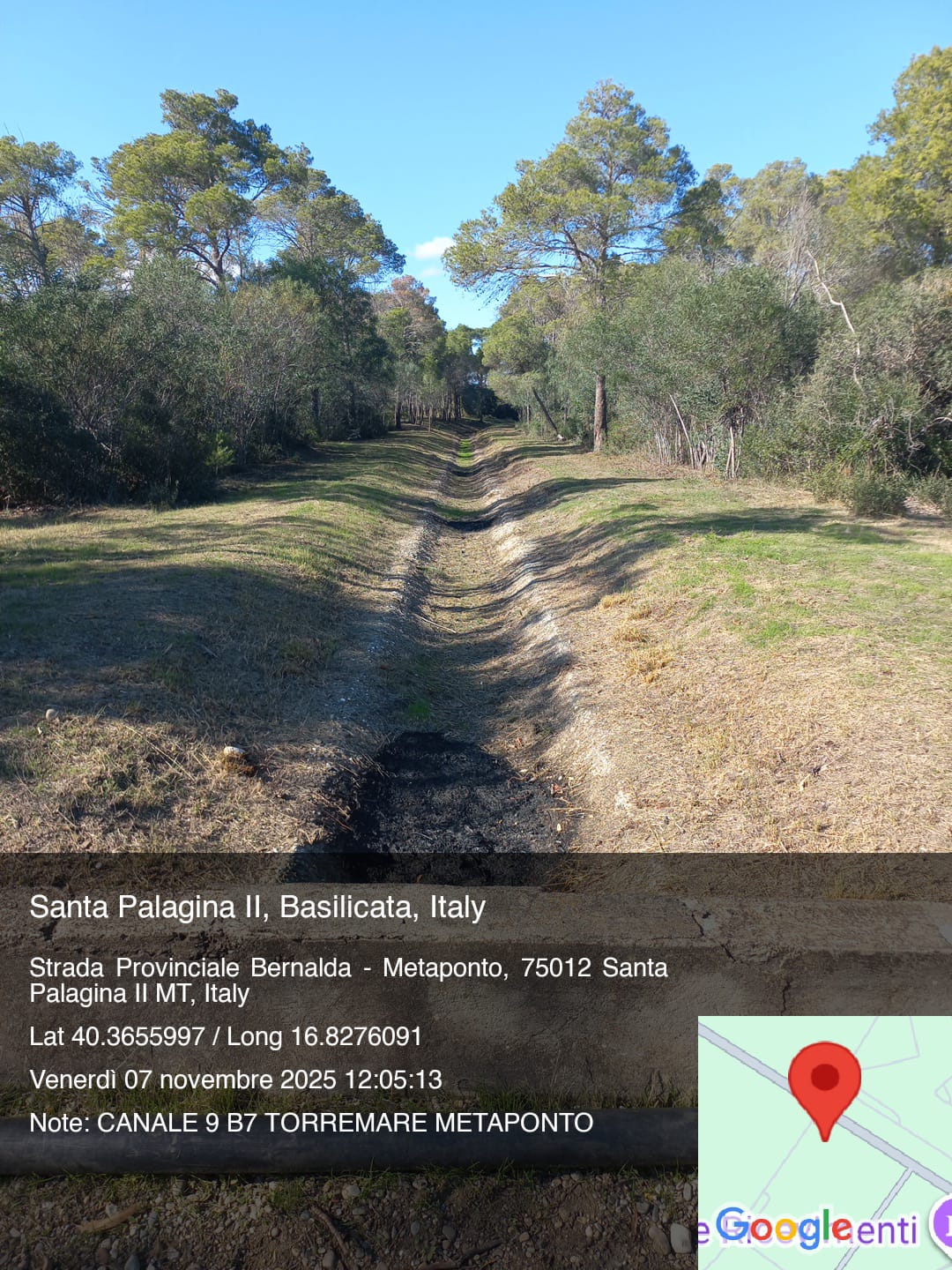 AREA 20 - BERNALDA - INTERVENTO 6.1.6 DECESPUGLIAMENTO LUNGO L'ASTA ...